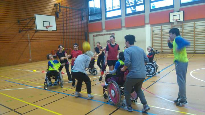 Handisport - Handisport